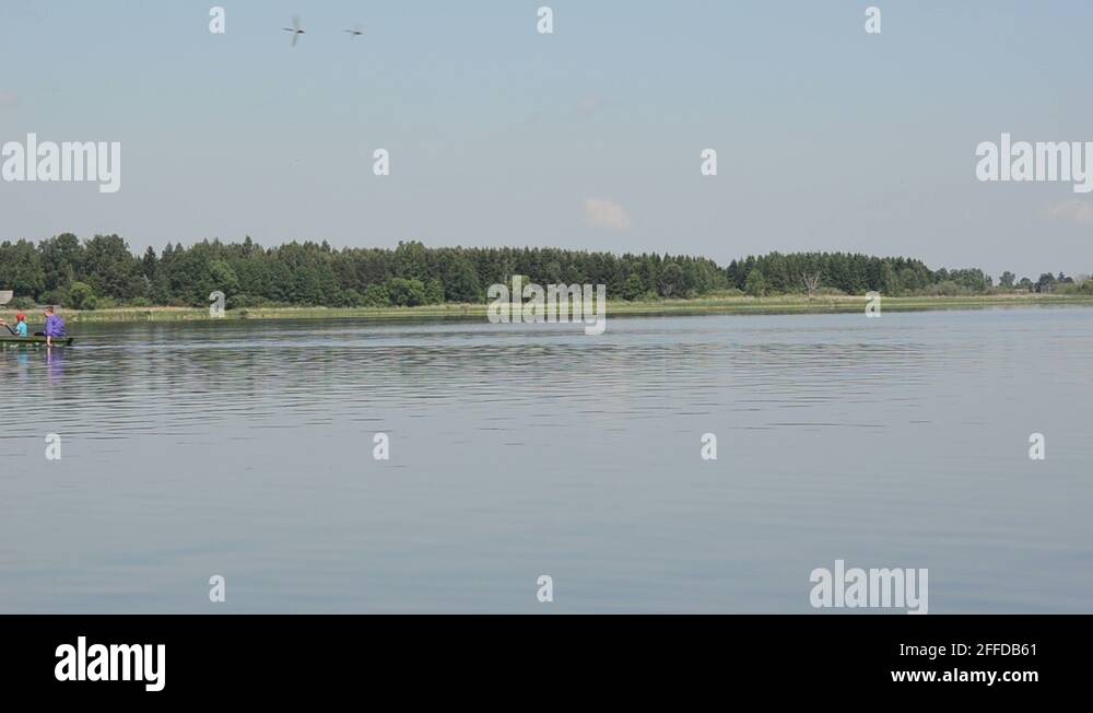 Man rowing boat distance Stock Videos & Footage - HD and 4K Video Clips ...