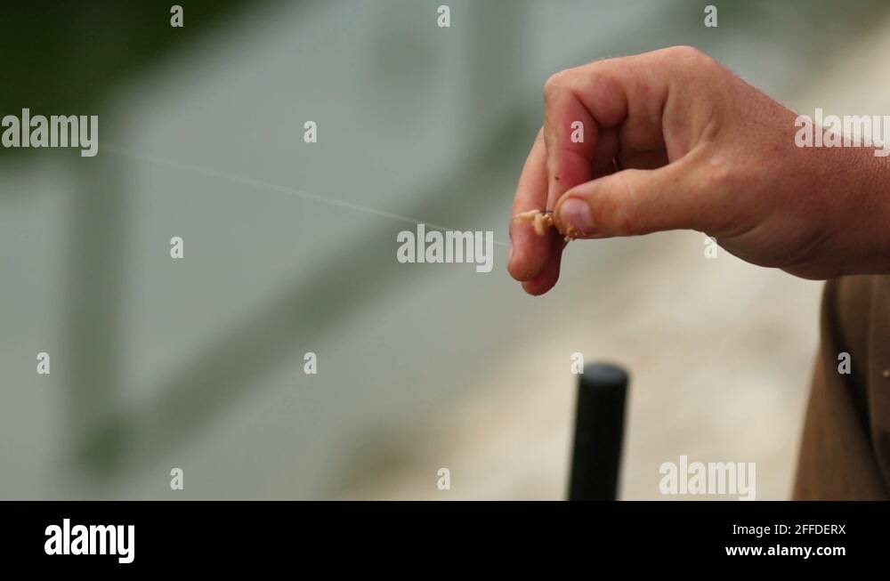 Ledger rod Stock Videos & Footage - HD and 4K Video Clips - Alamy