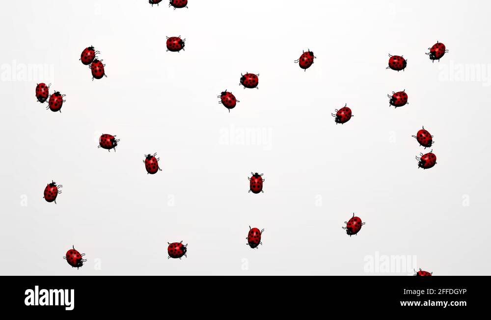 Cute bugs Stock Videos & Footage - HD and 4K Video Clips - Alamy