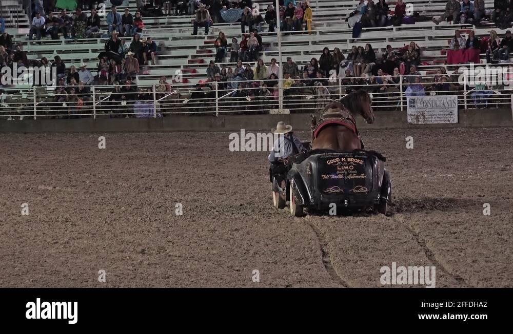 Mustang horse car Stock Videos & Footage - HD and 4K Video Clips - Alamy