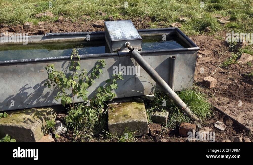 Cattle water trough Stock Videos & Footage - HD and 4K Video Clips - Alamy