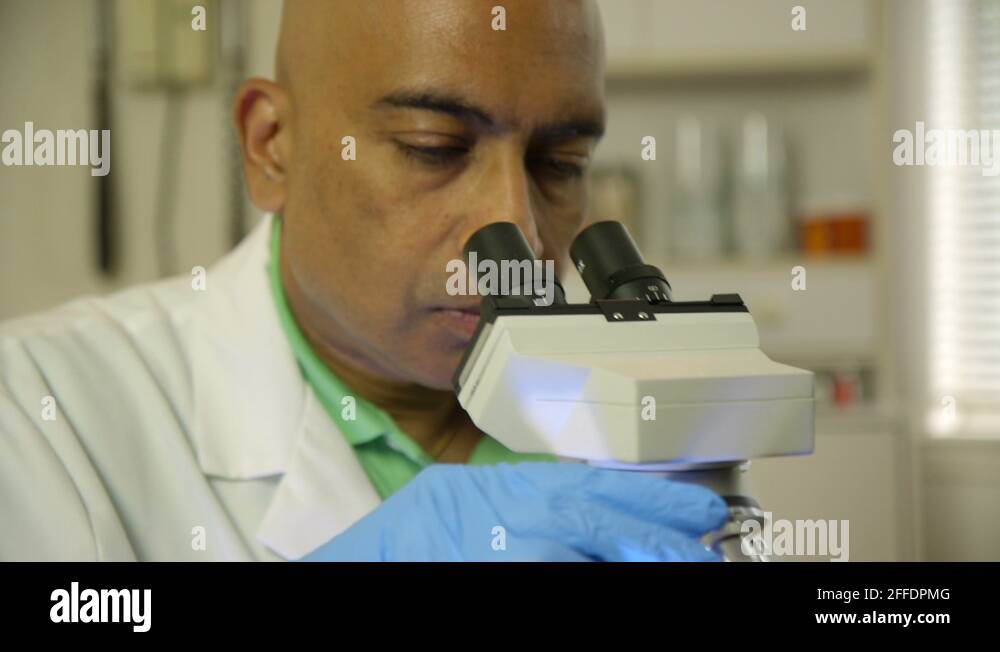 Indian doctor with microscope Stock Videos & Footage - HD and 4K Video ...