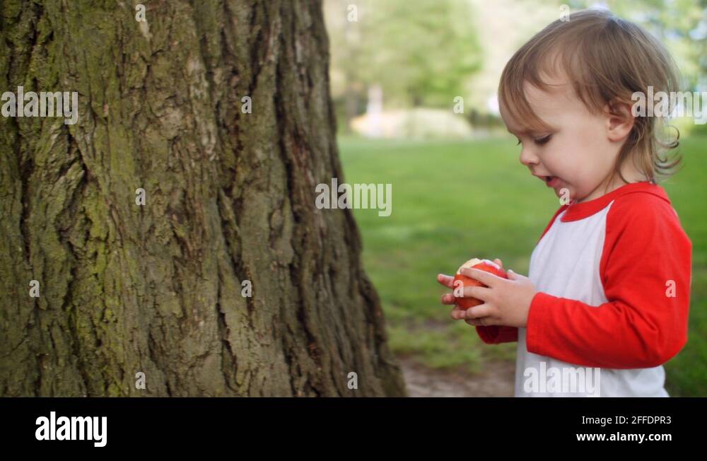 Child under apple tree Stock Videos & Footage - HD and 4K Video Clips ...