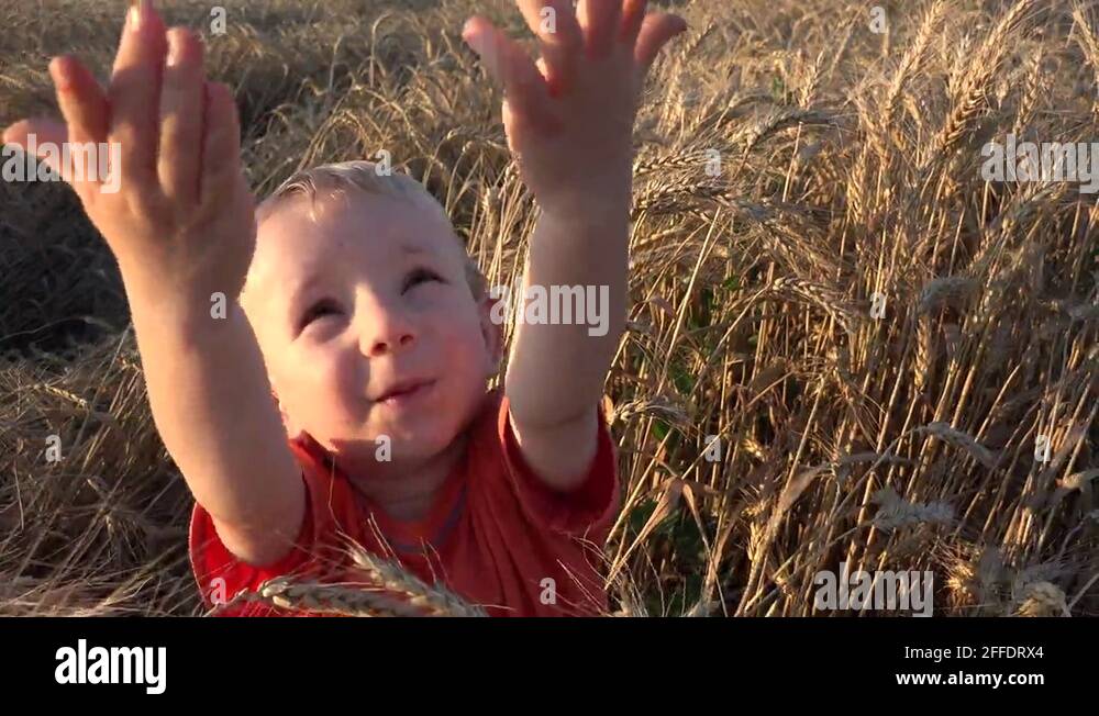 Little boy hands up cute Stock Videos & Footage - HD and 4K Video Clips ...