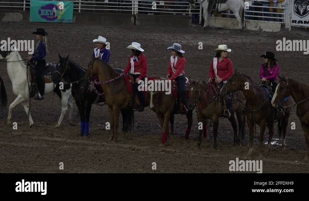 Horse rain Stock Videos & Footage - HD and 4K Video Clips - Alamy
