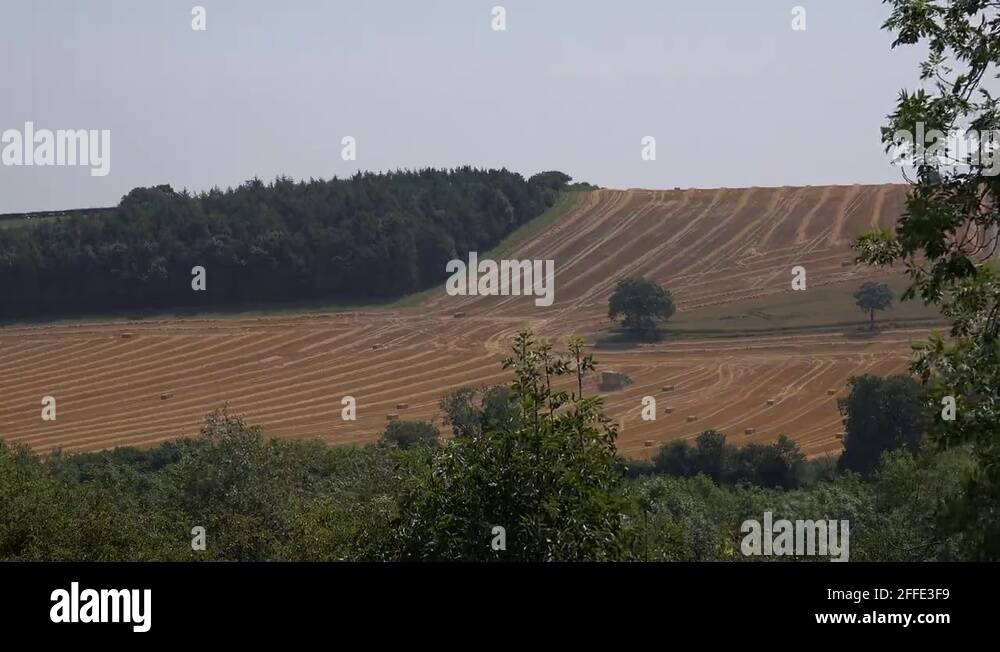 Hill farming Stock Videos & Footage - HD and 4K Video Clips - Alamy