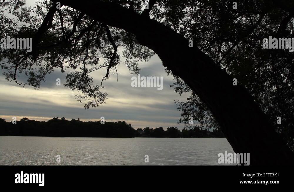 Tree and lake silhouette Stock Videos & Footage - HD and 4K Video Clips ...