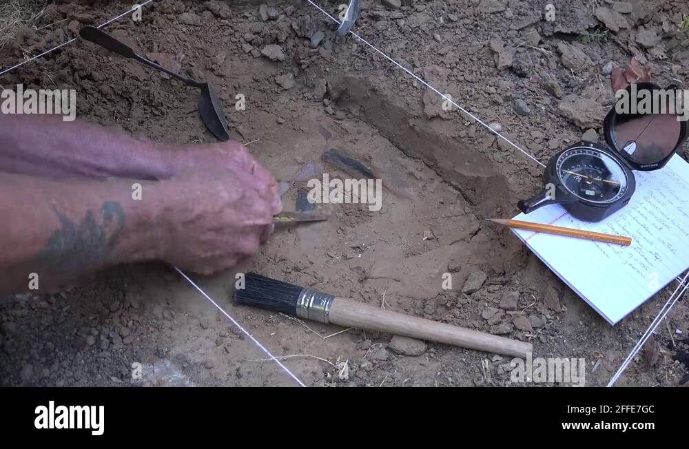 Archaeologist tools Stock Videos & Footage - HD and 4K Video Clips - Alamy