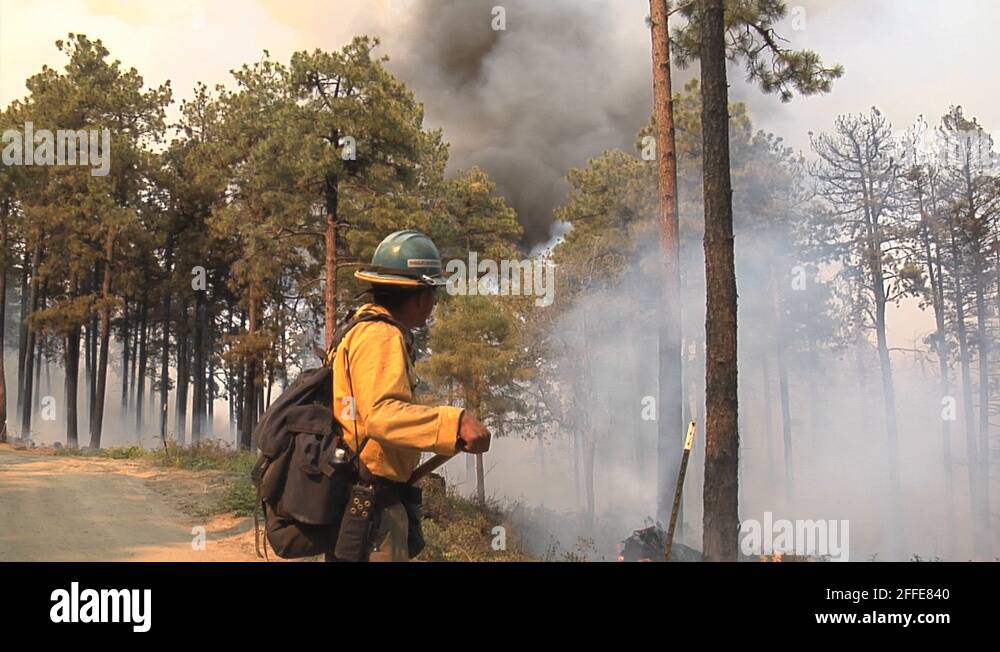 Firefighter watching billowing plume of smoke overhead Stock Video ...