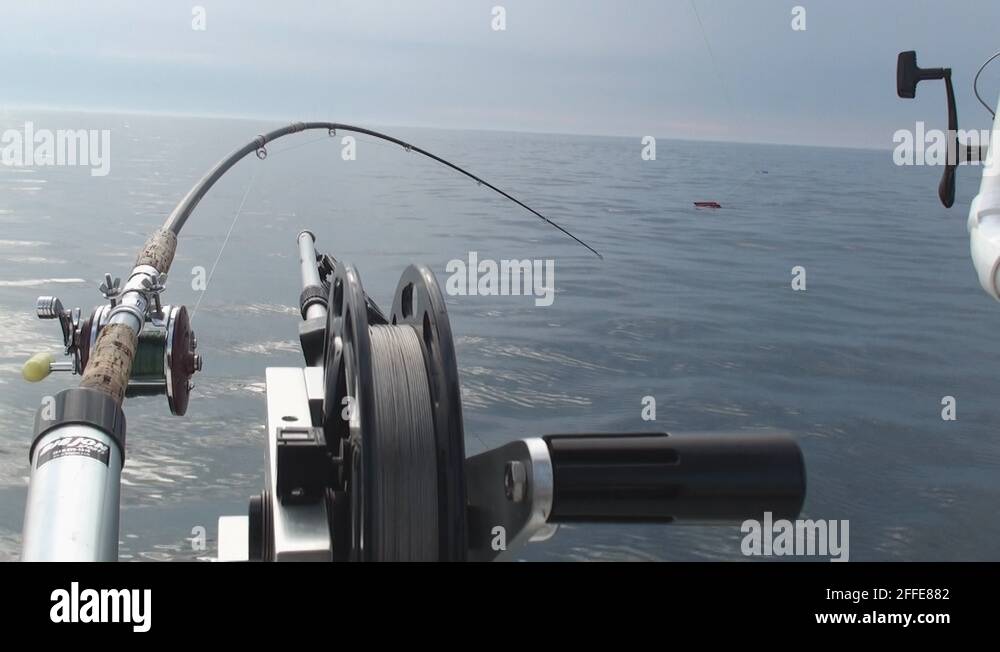 Trolling fishing Stock Videos & Footage - HD and 4K Video Clips - Alamy