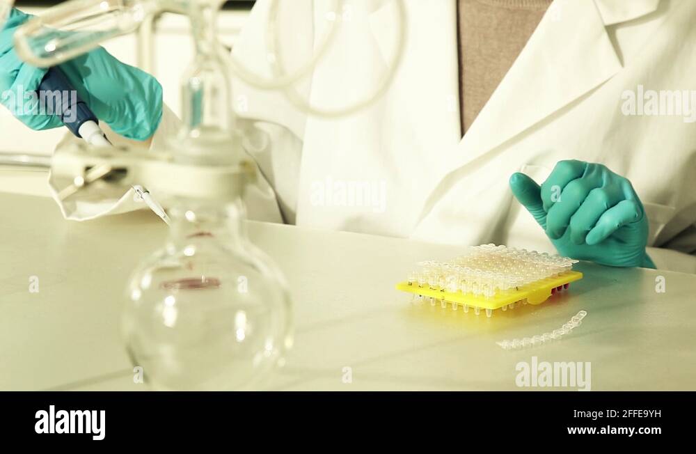 girl laboratory assistant with a pipette in genetic laboratory Stock ...