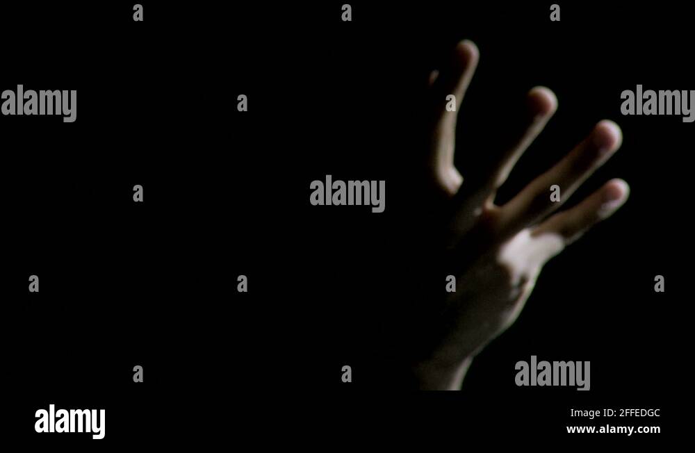 Death palm Stock Videos & Footage - HD and 4K Video Clips - Alamy