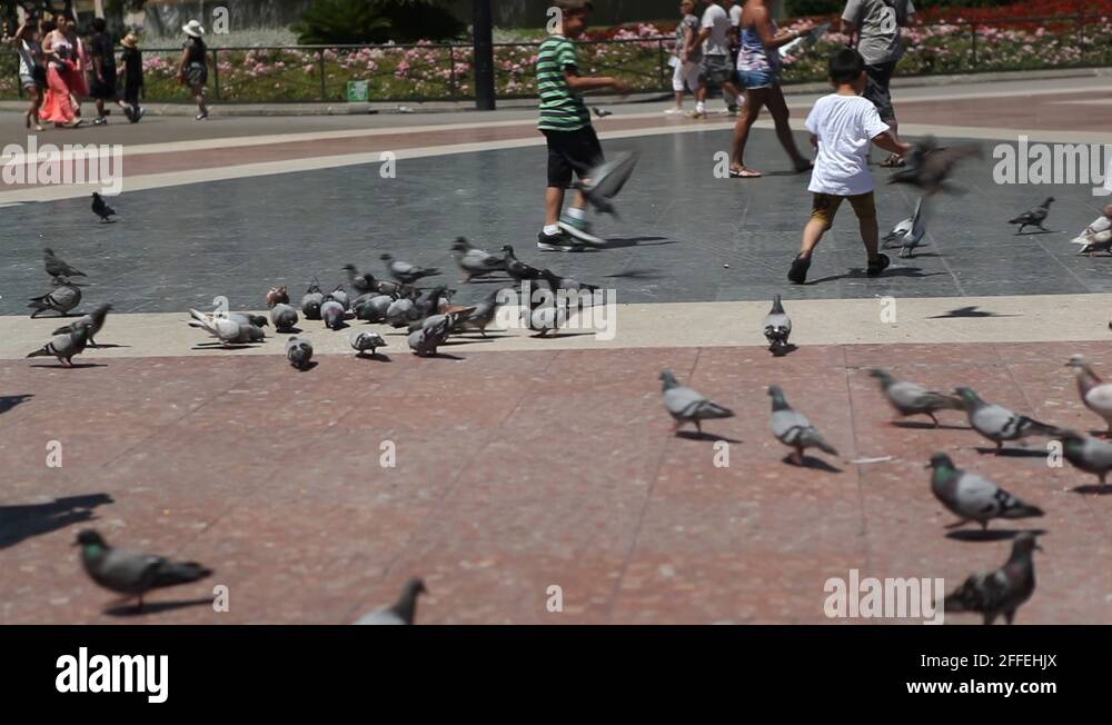 Kids playing pigeons barcelona Stock Videos & Footage - HD and 4K Video ...