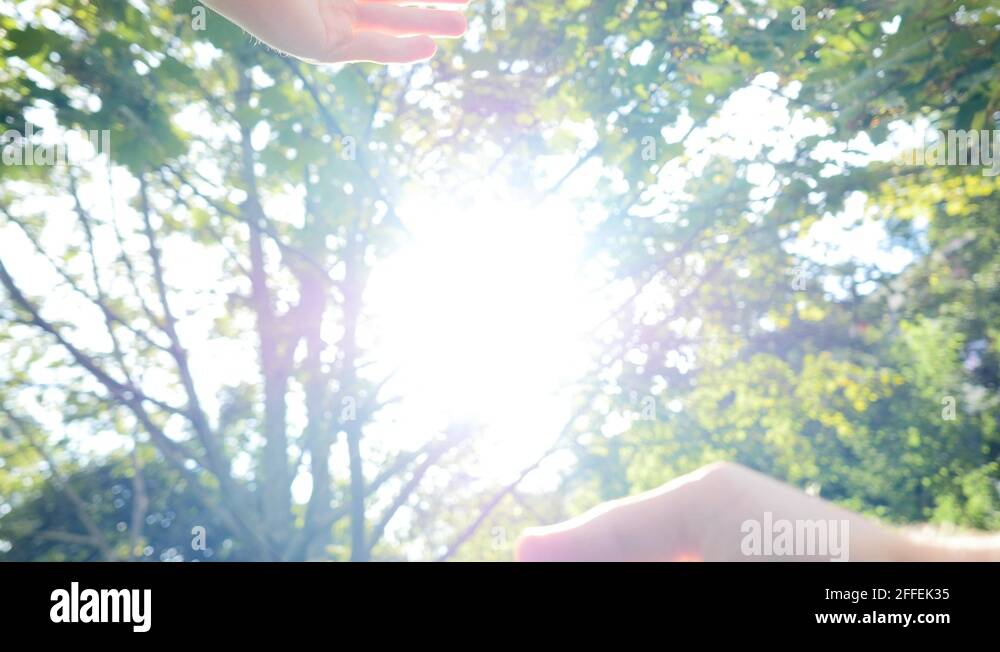 man raising hands into the sky - sun beam - sun light flare - carefree ...