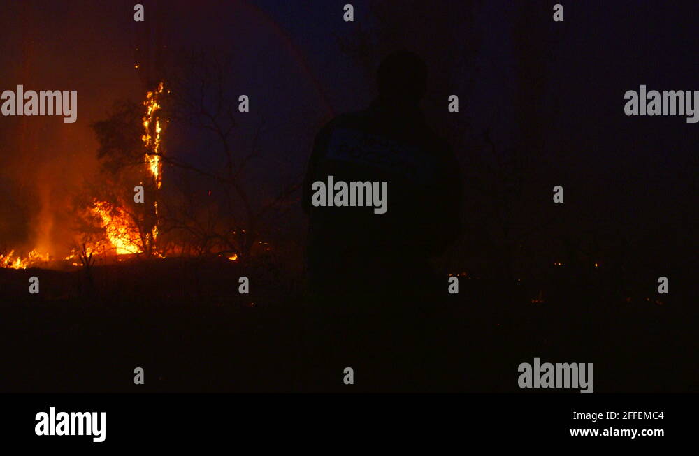 Silhouette of fireman fighting with bush fire Stock Video Footage - Alamy