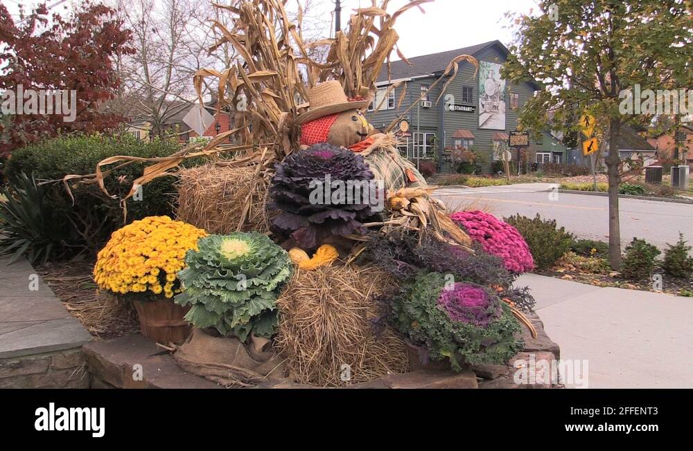 Harvest festival display Stock Videos & Footage - HD and 4K Video Clips ...