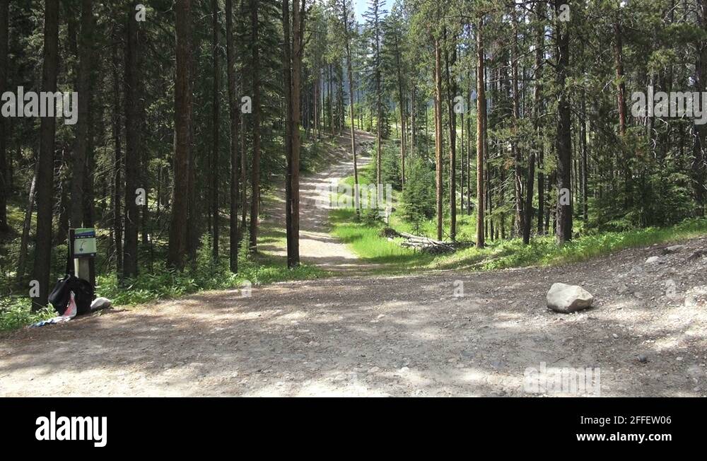 Canada Alberta Banff disc golf throw down path between trees 3 Stock ...