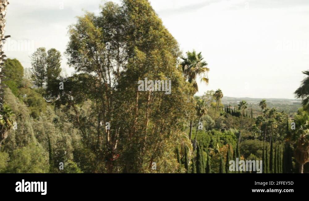 Verdant Stock Videos & Footage - HD and 4K Video Clips - Alamy