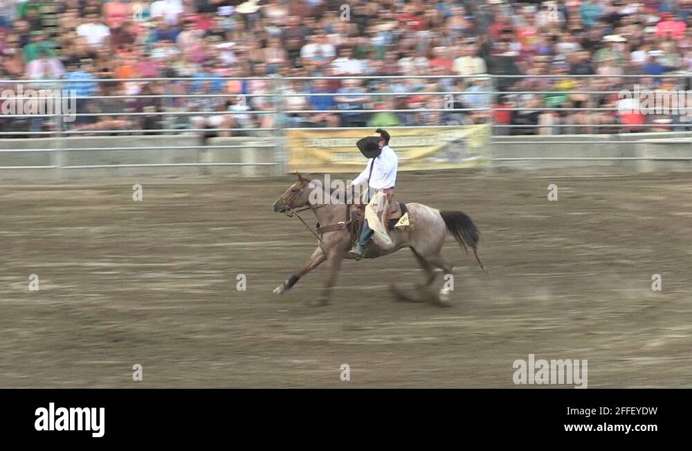 Rodeo cowboy Stock Videos & Footage - HD and 4K Video Clips - Alamy