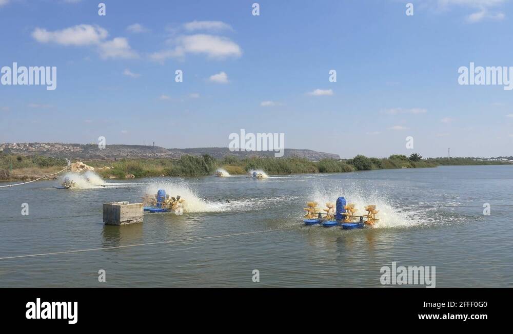 Fish farming pool Stock Videos & Footage - HD and 4K Video Clips - Alamy
