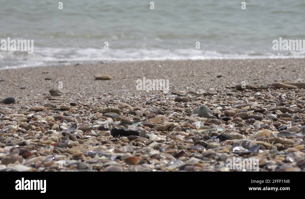 Pebbles seashells Black Sea beach vacation 4k Stock Video Footage - Alamy