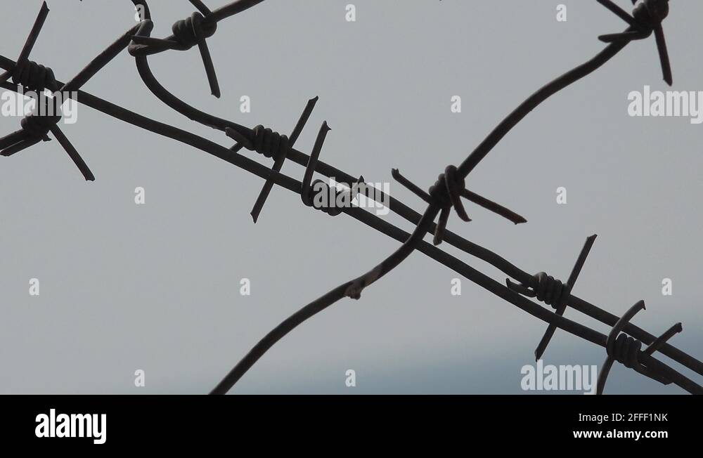 Security wire line Stock Videos & Footage - HD and 4K Video Clips - Alamy