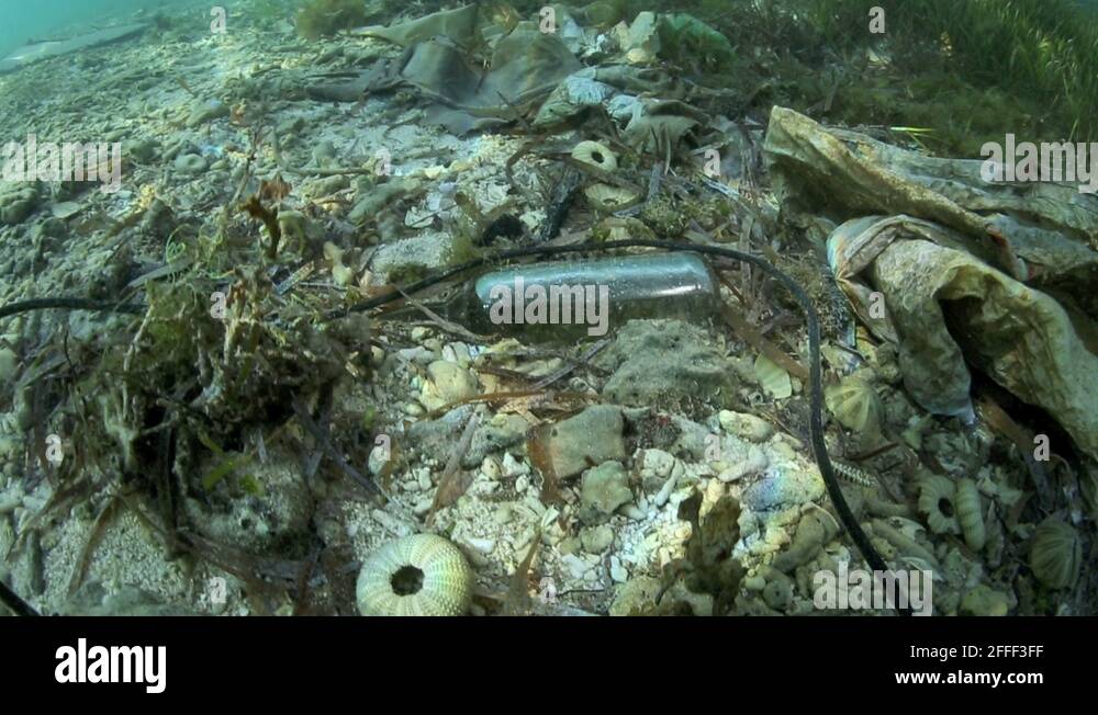 Underwater trash lying in ocean tidal mark Stock Video Footage - Alamy
