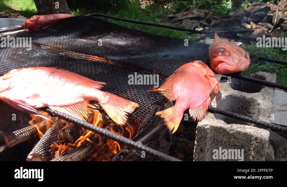 Rapa nui food Stock Videos & Footage - HD and 4K Video Clips - Alamy