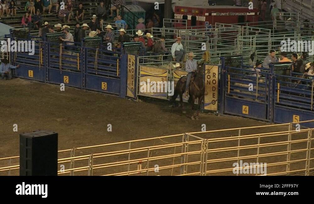 Horse exchange Stock Videos & Footage - HD and 4K Video Clips - Alamy