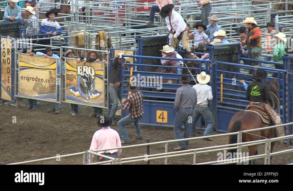 Horse with no saddle Stock Videos & Footage - HD and 4K Video Clips - Alamy