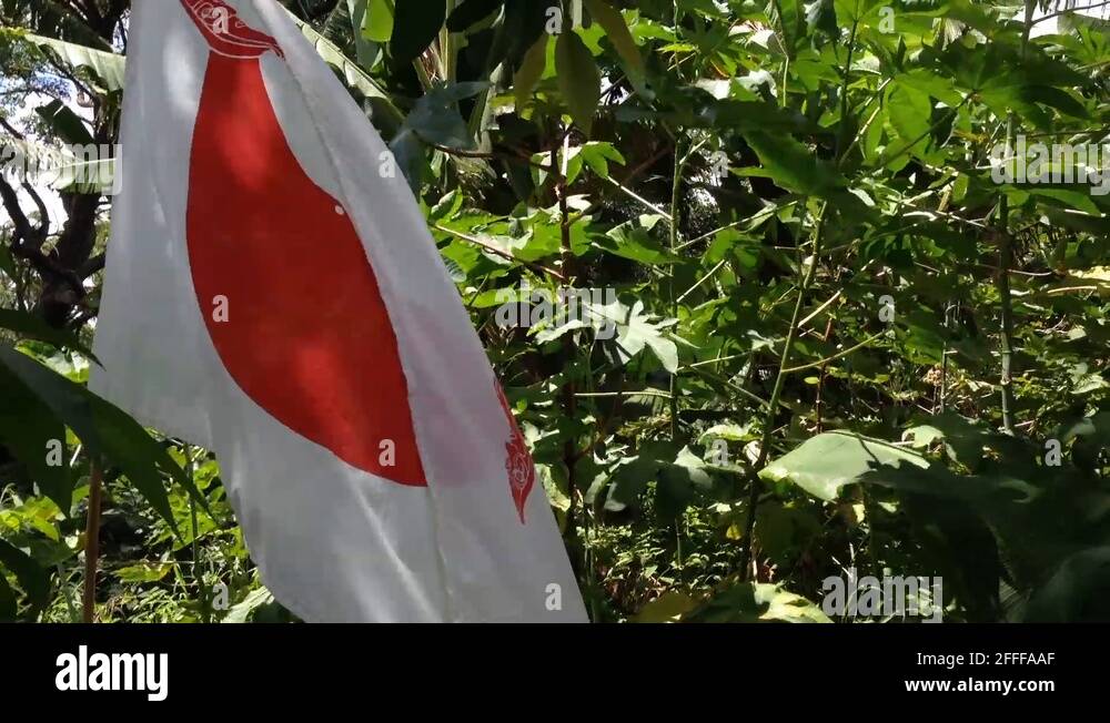 Rapa nui flag Stock Videos & Footage - HD and 4K Video Clips - Alamy