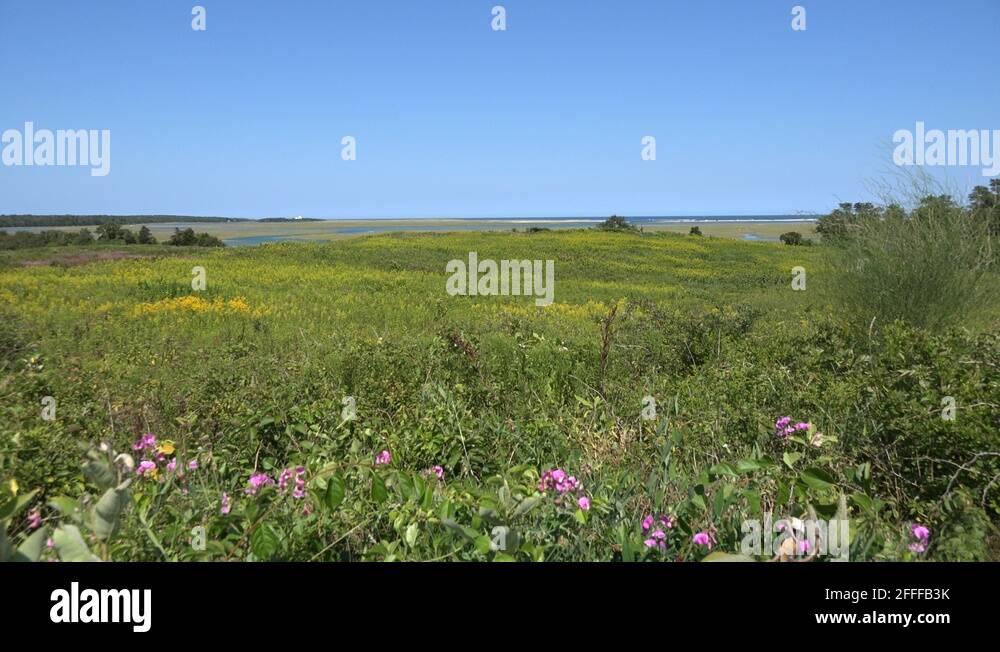 Fort hill Stock Videos & Footage - HD and 4K Video Clips - Alamy