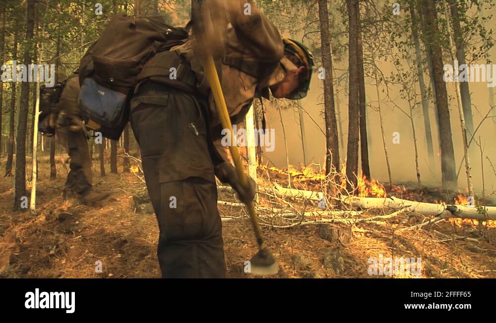 Pulaski map Stock Videos & Footage - HD and 4K Video Clips - Alamy