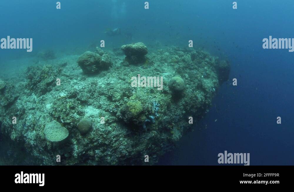 Depths of the oceans Stock Videos & Footage - HD and 4K Video Clips - Alamy