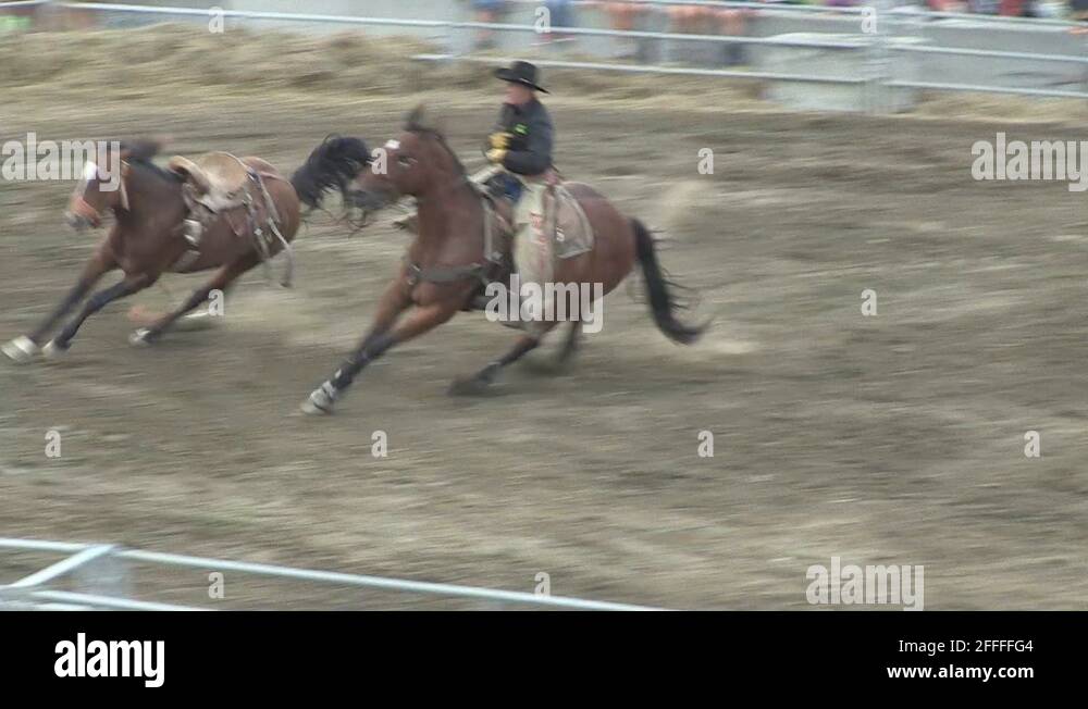 Rodeo and horse Stock Videos & Footage - HD and 4K Video Clips - Alamy