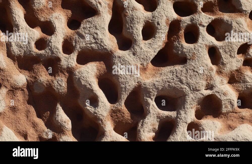 Pitted texture Stock Videos & Footage - HD and 4K Video Clips - Alamy