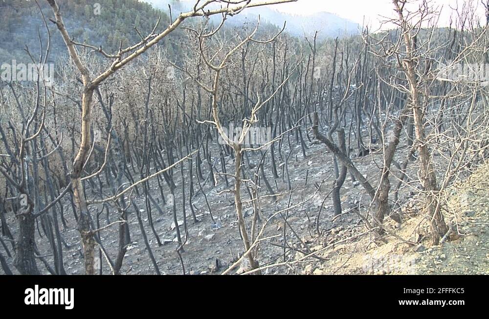 Burn area map Stock Videos & Footage - HD and 4K Video Clips - Alamy