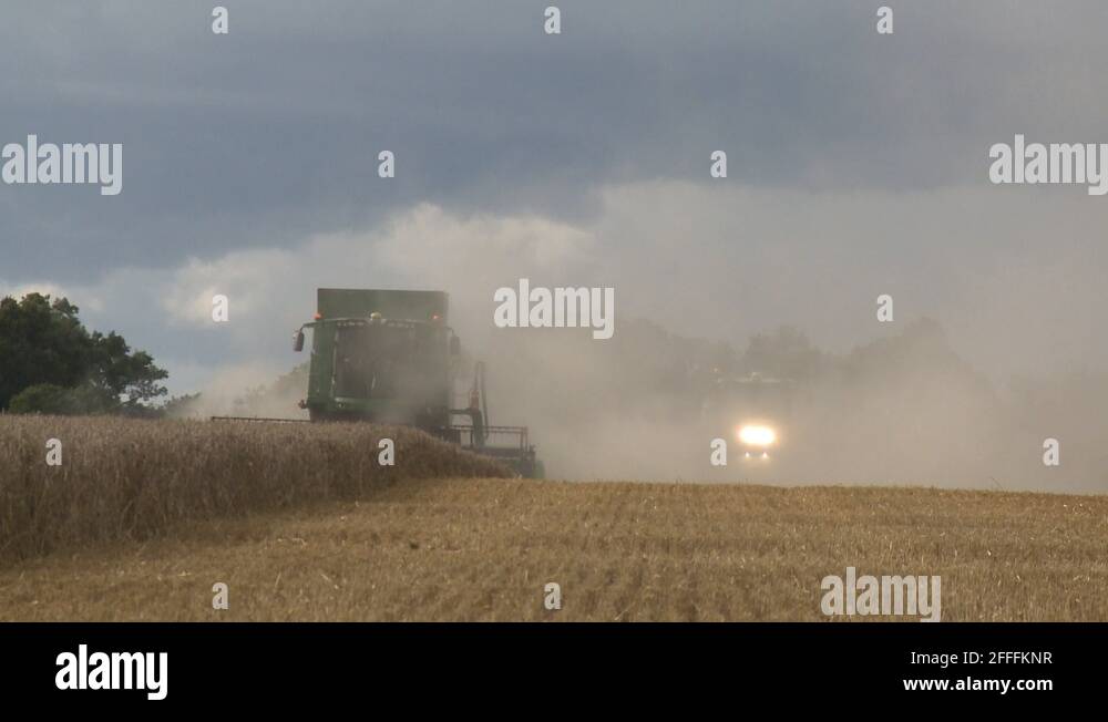 Combining grain Stock Videos & Footage - HD and 4K Video Clips - Alamy