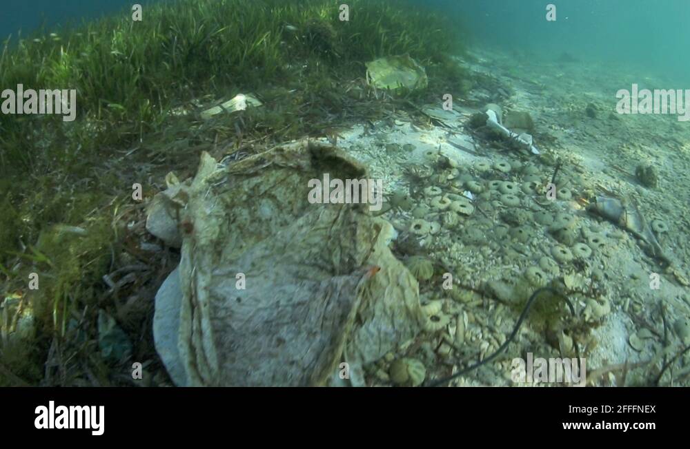 Tidal trash Stock Videos & Footage - HD and 4K Video Clips - Alamy