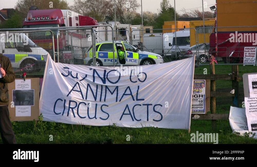 Police presence Stock Videos & Footage - HD and 4K Video Clips - Alamy