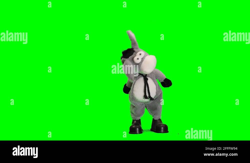 Art donkey Stock Videos & Footage - HD and 4K Video Clips - Alamy