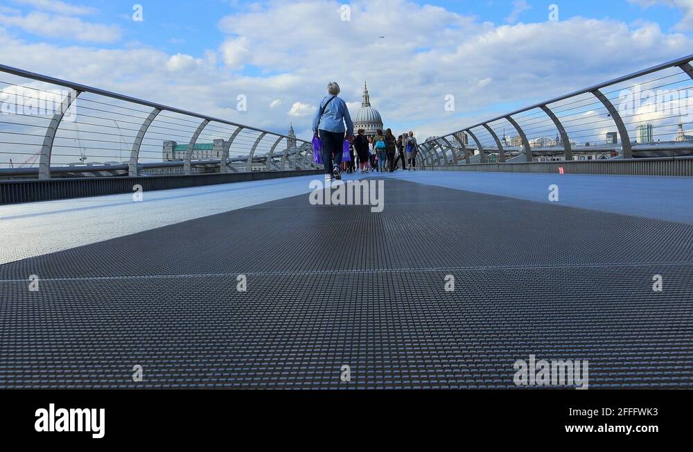 Kingdom of the frog Stock Videos & Footage - HD and 4K Video Clips - Alamy