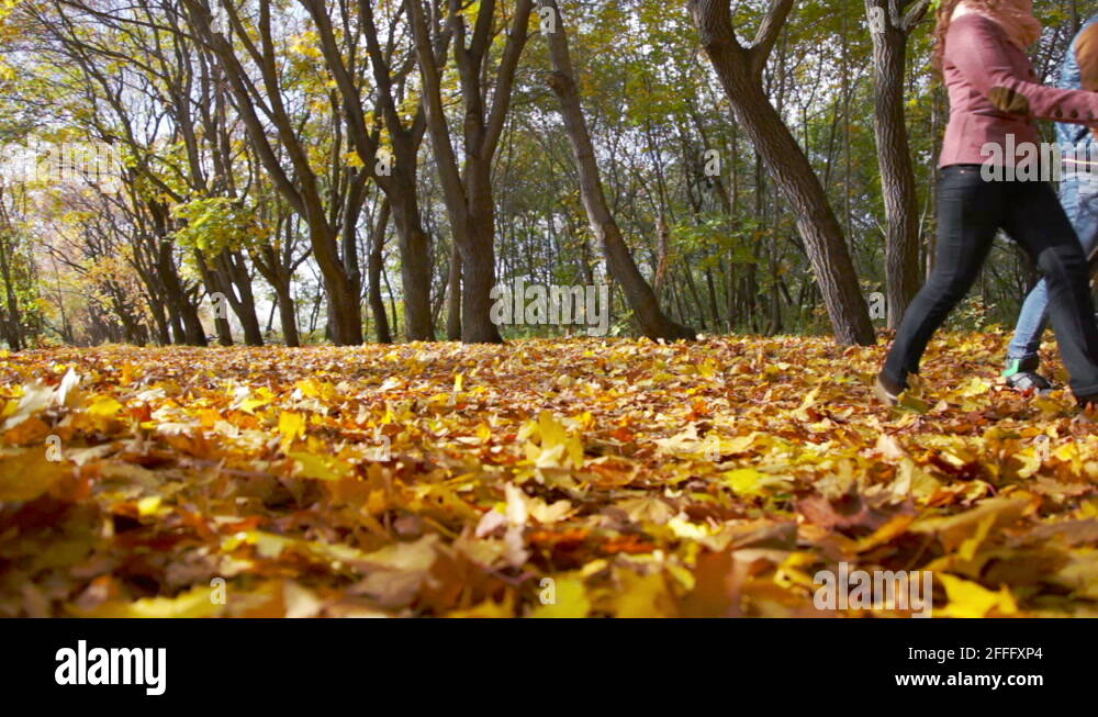 Learn at your pace Stock Videos & Footage - HD and 4K Video Clips - Alamy