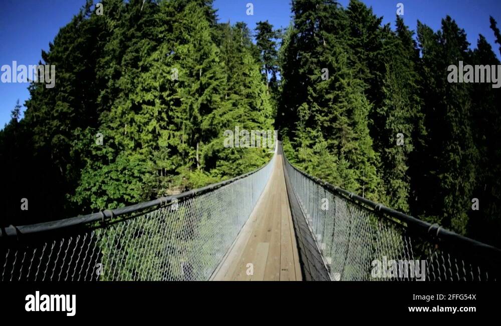 Capilano suspension bridge capilano river Stock Videos & Footage - HD ...