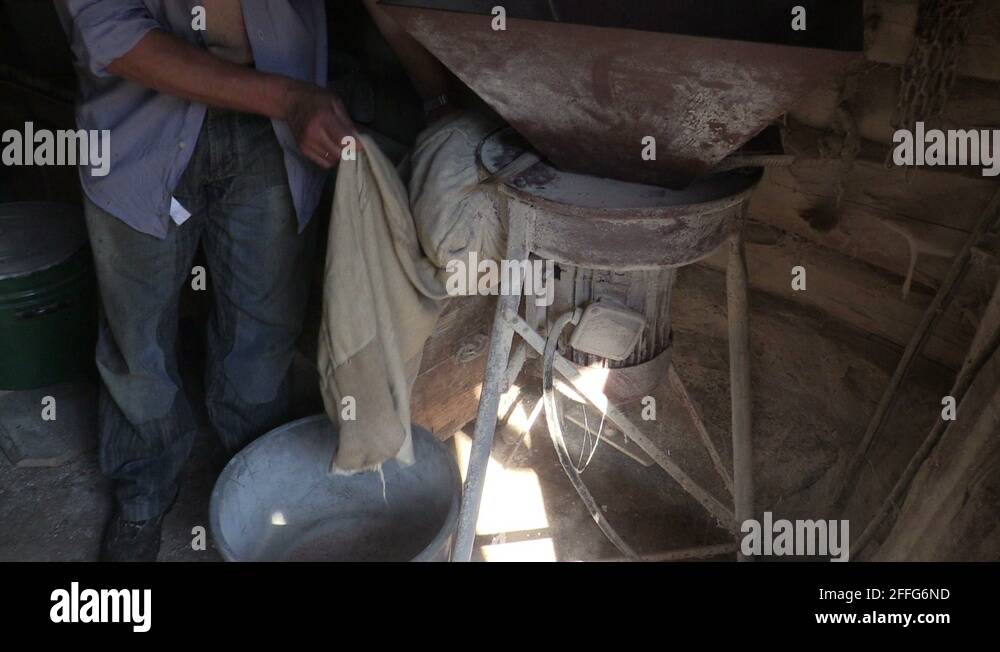 Barn cleaner Stock Videos & Footage - HD and 4K Video Clips - Alamy