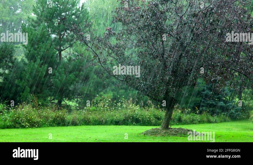 Rain cloud burst Stock Videos & Footage - HD and 4K Video Clips - Alamy