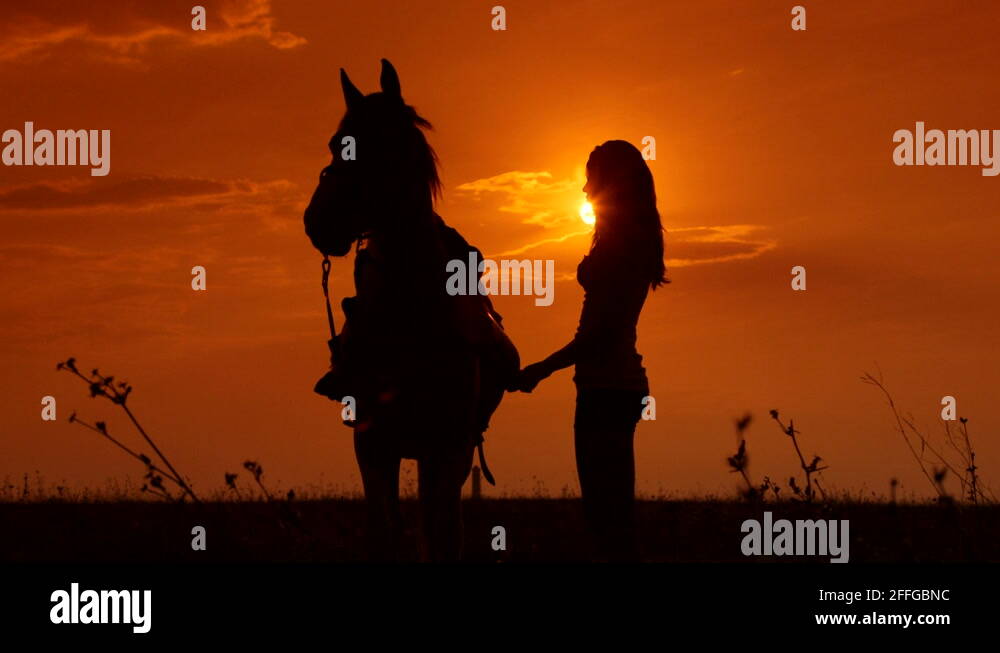 Female rider riding horse Stock Videos & Footage - HD and 4K Video ...