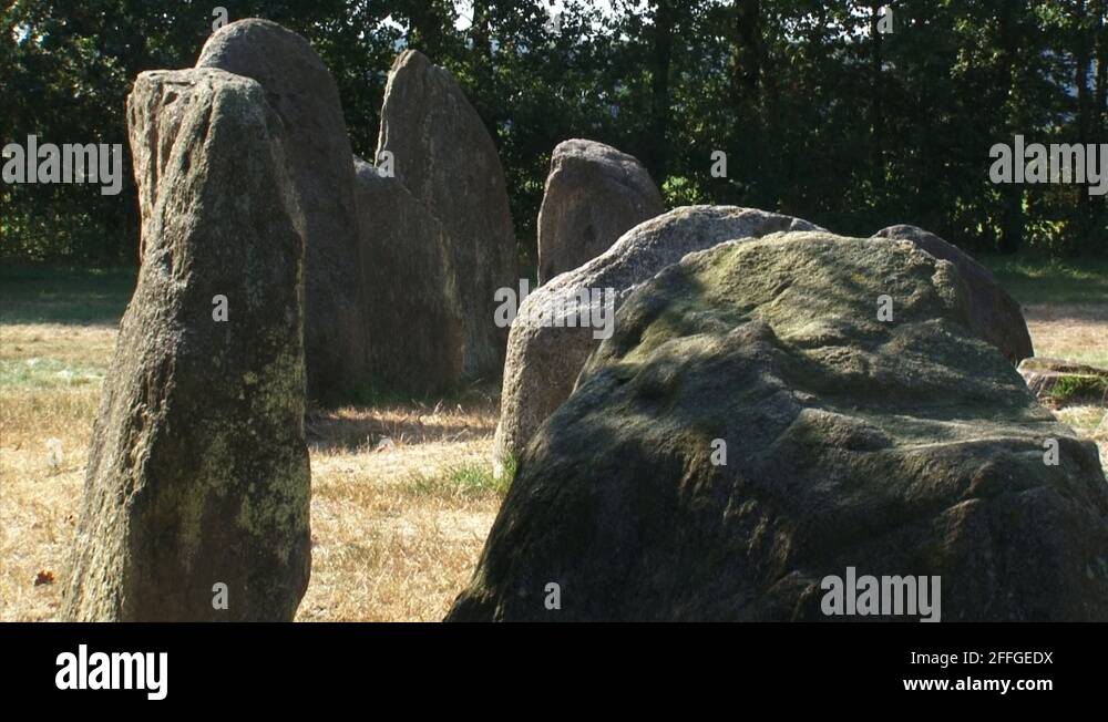 Prehistoric human ice age Stock Videos & Footage - HD and 4K Video ...