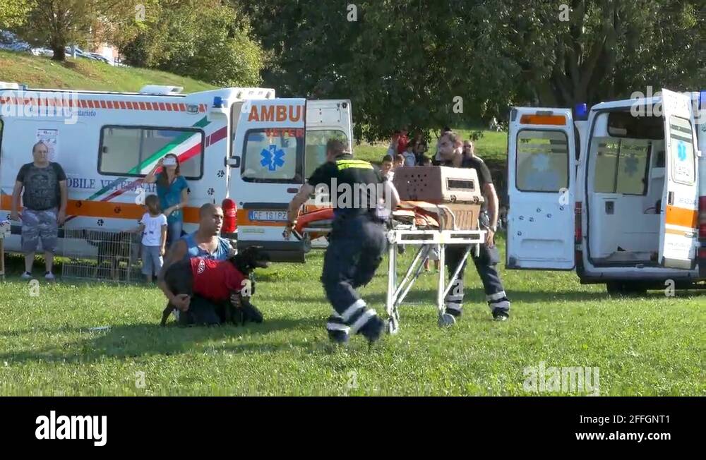 Veterinary ambulance Stock Videos & Footage - HD and 4K Video Clips - Alamy