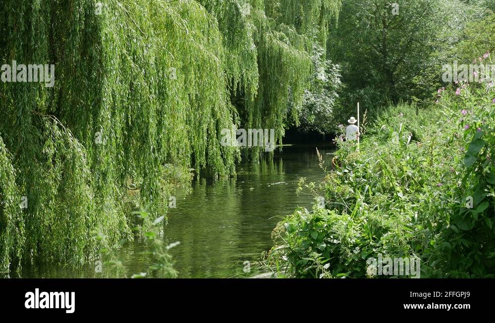 Great river stour Stock Videos & Footage - HD and 4K Video Clips - Alamy